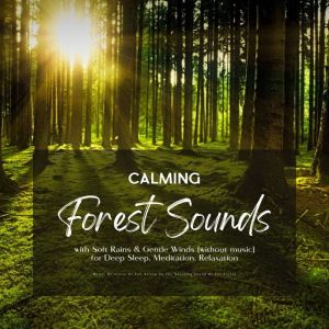 Calming Forest Sounds with Soft Rains & Gentle Winds (without music ...